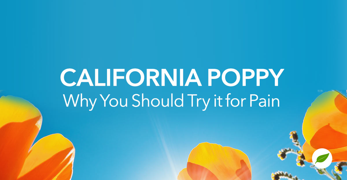3 Reasons to Try California Poppy Extract for Pain Support – Natural ...