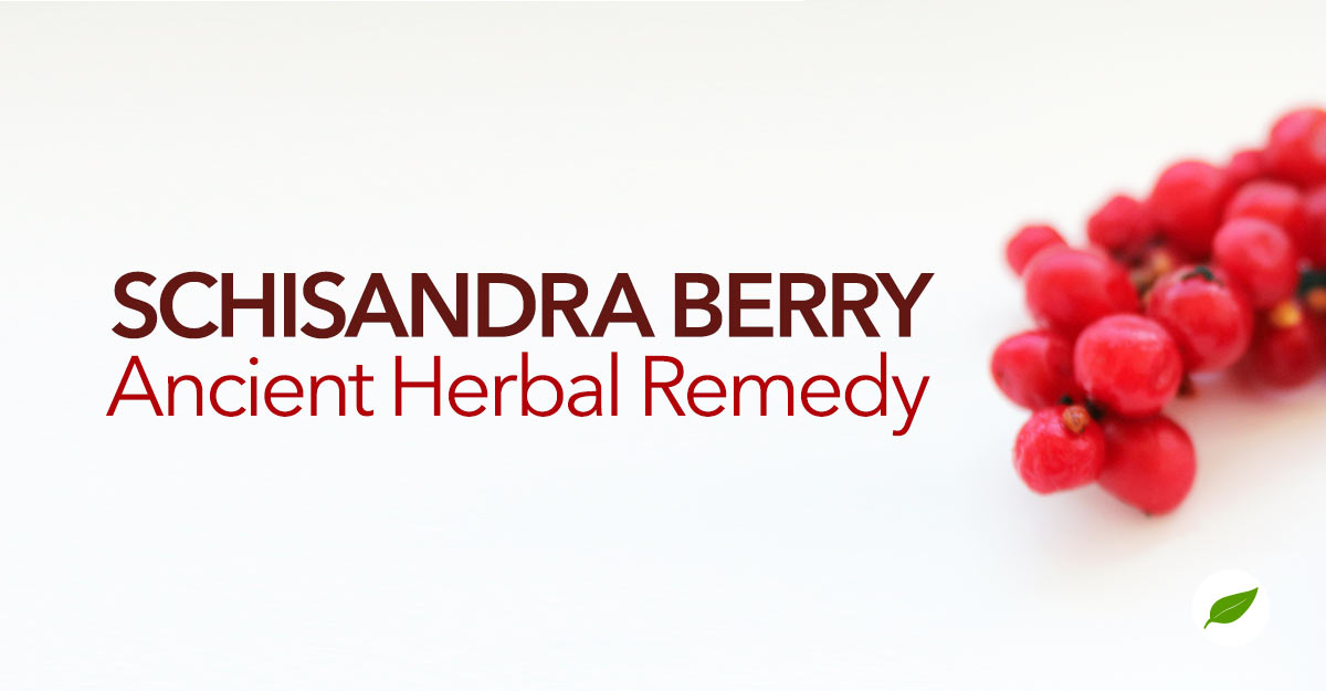 3 Key Potential Health Benefits of Schisandra Berry – Natural Healthy ...
