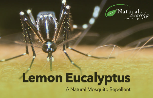 Lemon Eucalyptus ID'd as Effective against Zika – Natural Healthy Concepts