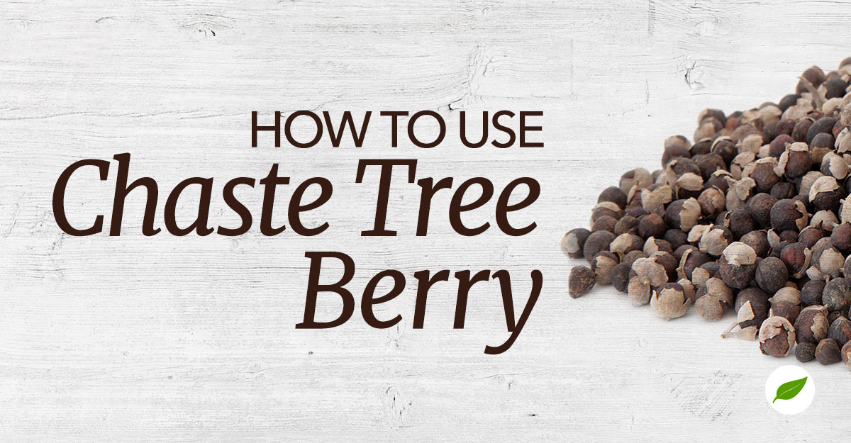 Chaste Tree Berry Uses to Support Your Overall Health – Natural Healthy ...