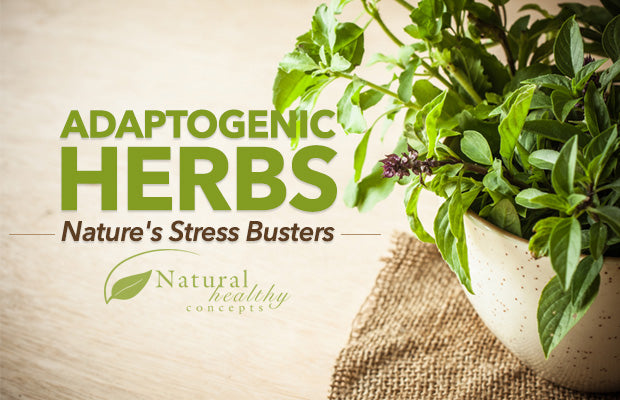 What Are Adaptogens and How Can They Support My Health? – Natural ...