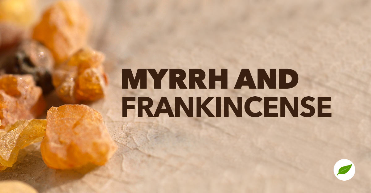 The Surprising Health Benefits of Myrrh Frankincense – Natural Healthy ...