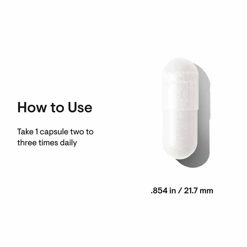 Bacillus Coagulans, Thorne Research – Natural Healthy Concepts