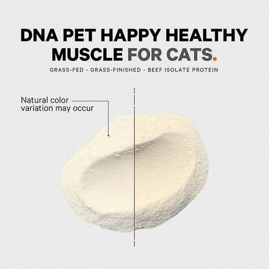 DNA PET Happy Healthy Muscles Powder for Cats, Codeage
